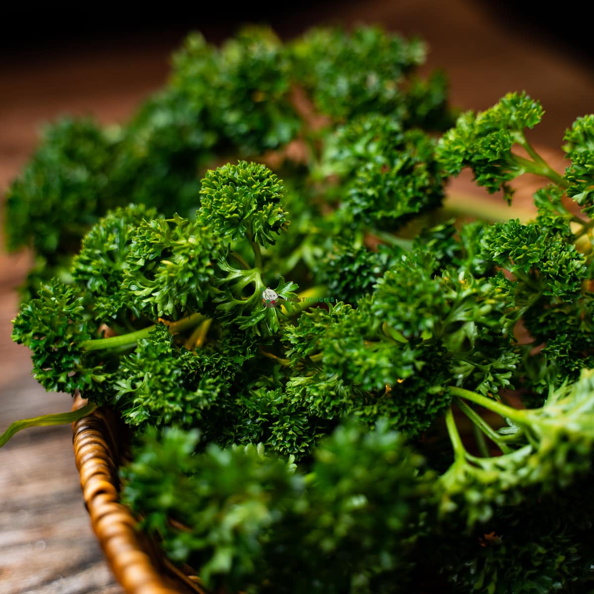 Fresh English Parsley - 200G Bundle – IWantVeggies