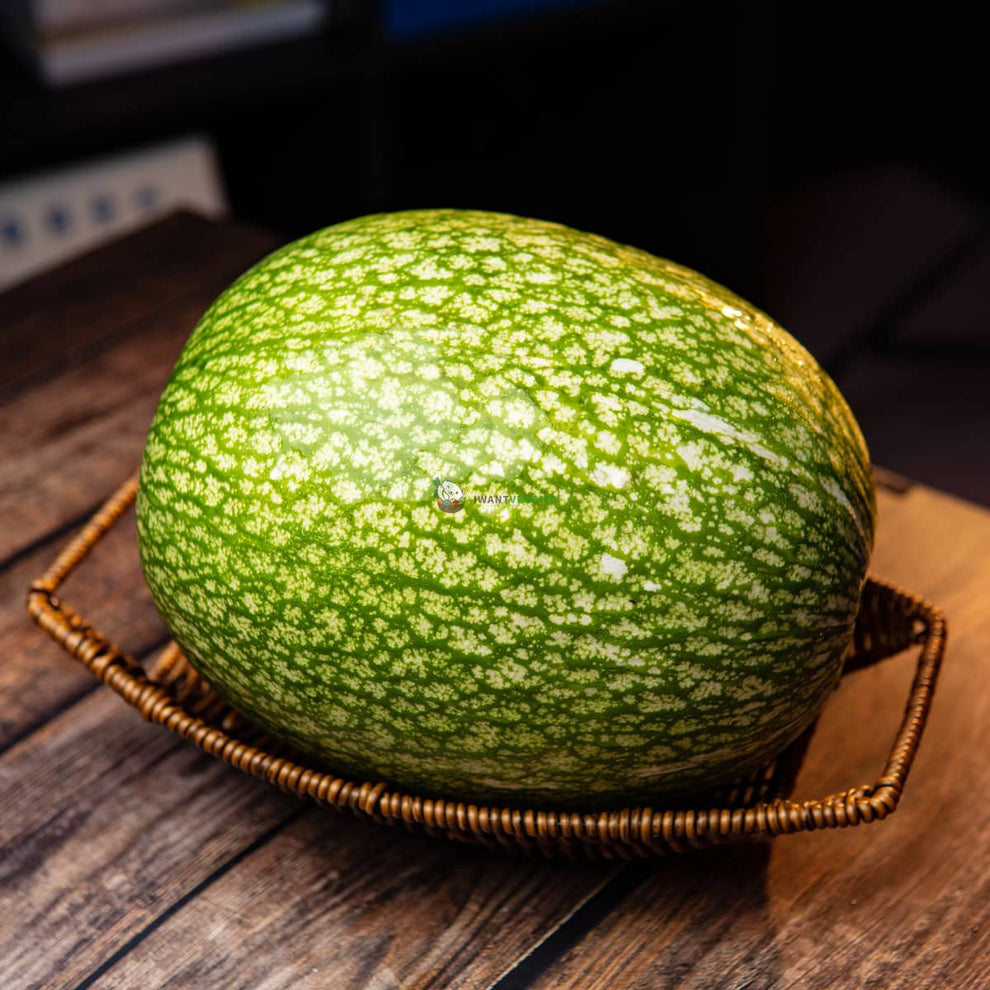Fresh 3KG Sharkfin Melon - Perfect for Cooking – IWantVeggies