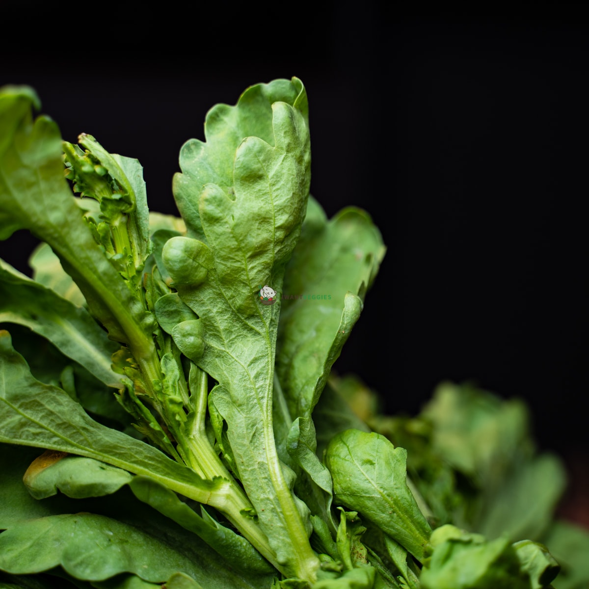 Tang Oh 茼蒿 (500G±) – IWantVeggies