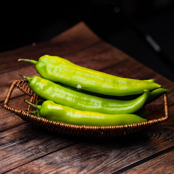 Fresh Green Long Pepper Capsicum - 500G – IWantVeggies