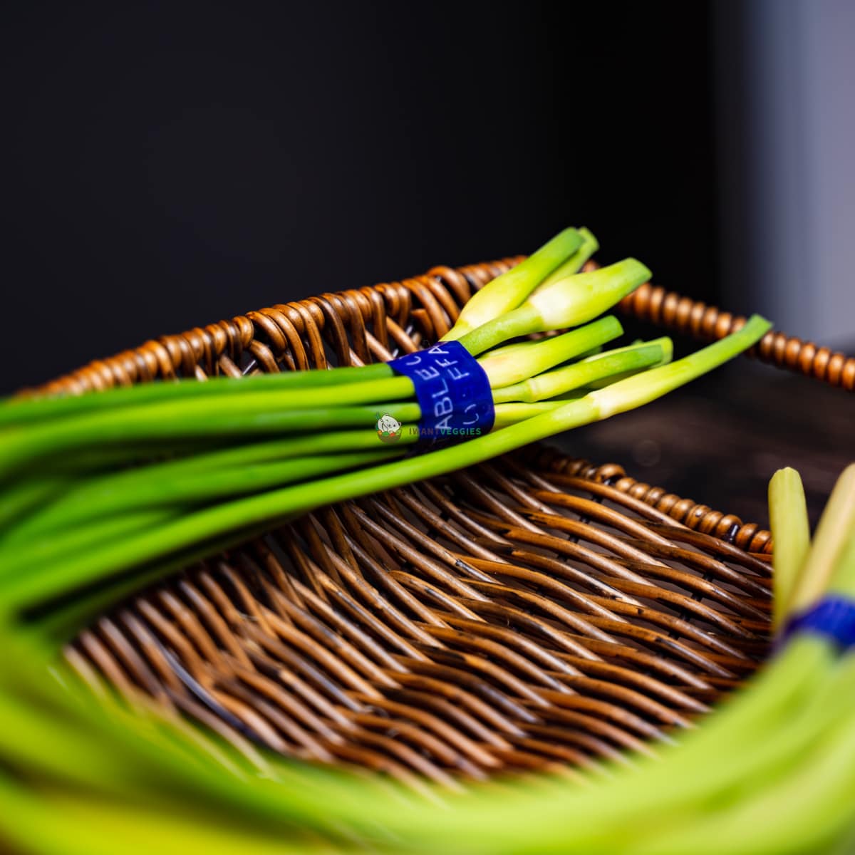 Fresh Garlic Shoots in a bunch - Perfect for All Recipes – IWantVeggies